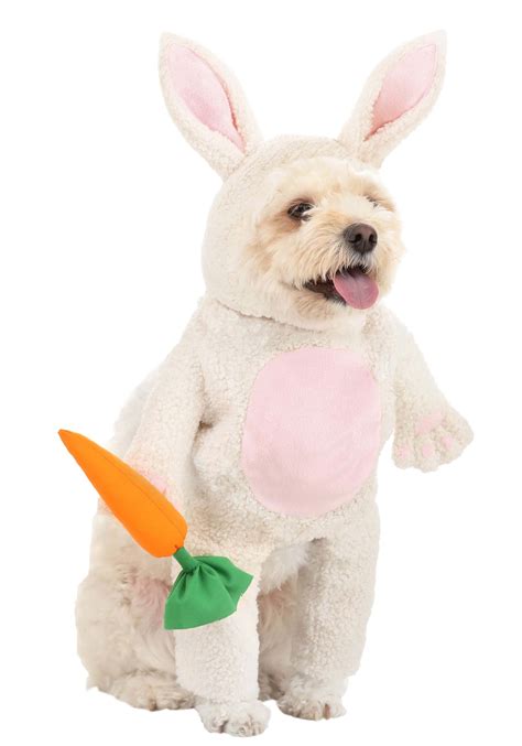 Fluffy Bunny Costume Plush Bunny Costume Brown Washable