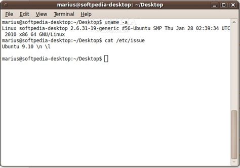 10 Kernel Vulnerabilities In Ubuntu 6 06 8 04 8 10 9 04 And 9 10