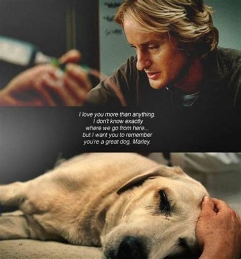 Marley And Me Book Quotes Quotesgram