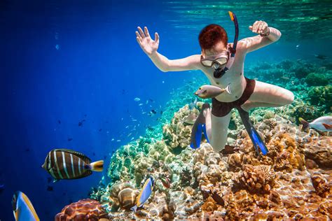 Snorkeling Rewards On Maldives Coral Reefs
