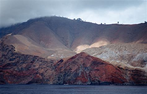 Guadalupe Island Mexico Pacific Ocean … License Image 70078545