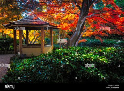 Gazebo Japanese Garden Park Banque De Photographies Et Dimages à Haute