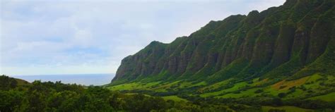 Header Background The Jurassic Vault