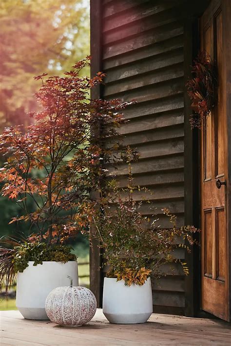 Frosted Glass Pumpkin 12 Anthroliving
