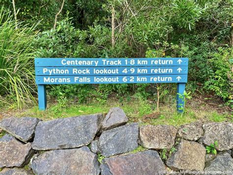 Moran Falls An Easy Walk With Nice Views In Lamington National Park