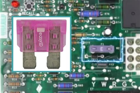 Circuit Board Keeps Blowing Fuse At Ray Ratliff Blog