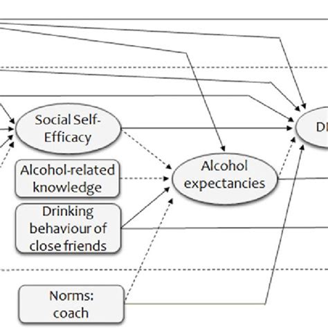 Hypothesized Model Solid Lines Represent Presumed Positive Path