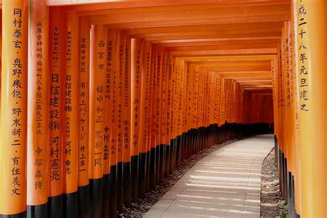 The Ultimate Torii Gate Tour Of Japan
