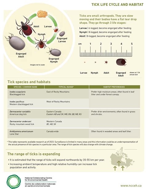 Reducing Tick Related Risks Through Improved Design And Maintenance In