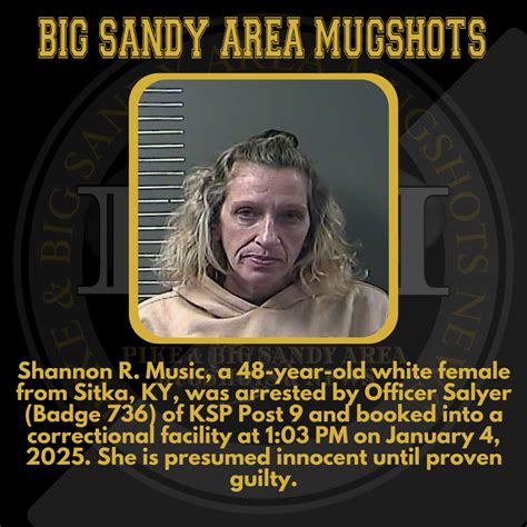 Shannon Music Big Sandy Area Mugshots News