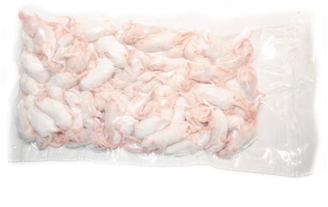 Frozen Fuzzy Mice 25 Pack R2 Reef And Reptiles