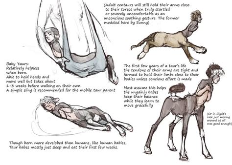 The Arting Ace Centaur Creature Concept Art Mythical Creatures Art