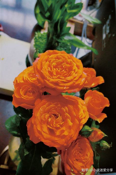 李林的奇遇 知乎