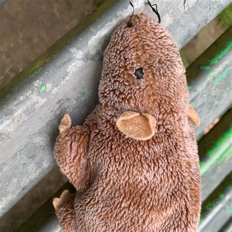 Shaggy The Shager Youtube