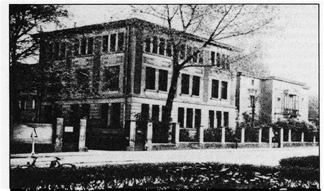 Structure Of Fasciculus Septomarginalis Semantic Scholar