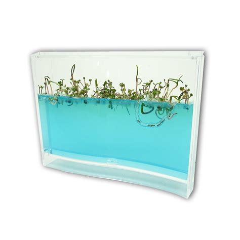 Acvariu Pentru Furnici Edu Labro