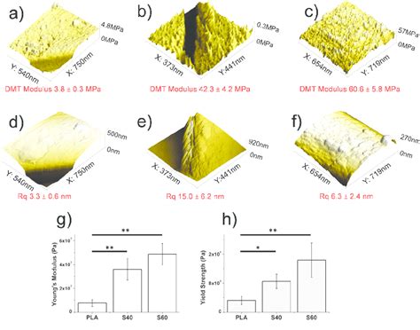 Top Dmt Modulus Ac And Roughness Df Of A D Pla B E S40