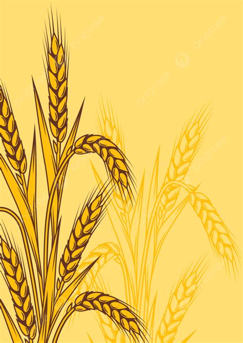 Background With Wheat Cereal Food Organic Background Image For Free