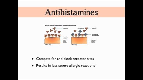 Histamine And Prostaglandins Youtube