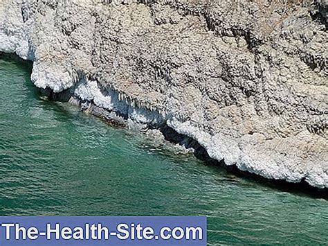 Sel Glial Struktur Dan Fungsi 💊 Ilmiah Praktis Medical Journal 2025