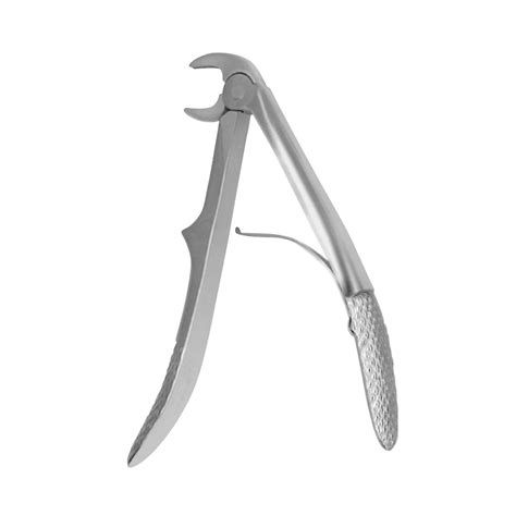 1c Pedo Lower Incisors English Extraction Forcep