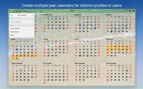 Voidtech All In One Year Calendar Mx Mac App
