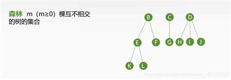 数据结构 ：树树形节点的度数统计 Csdn博客