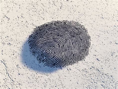 A Close Up Of A Unique Fingerprint Pattern Highlighting Intricate