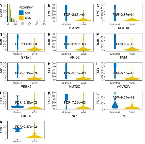 Genes Associated With Tumor Mutation Burden A The Tumor Mutation