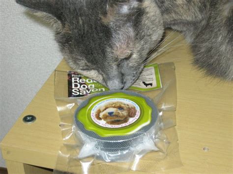 ペット洗いには・・・ Dmtのブログ 改め 『3人ネコ組』