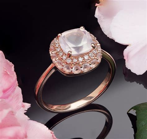 Mini Vida Collection Bc Ward Ent