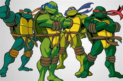 Teenage Mutant Ninja Turtles April Oneil Donatello Raphael Leonardo