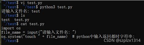 Linux后端开发 Posix标准以及shell编程posix Shellszplzx1314的博客 Csdn博客