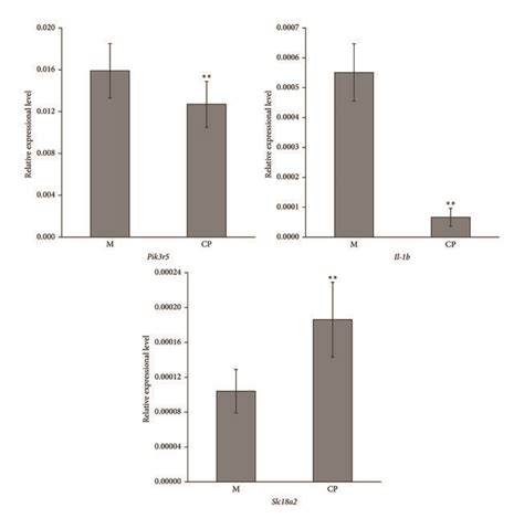 Real Time Quantitative Pcr Validation Of Pik3r5 Il 1b And Slc18a2 Download Scientific Diagram