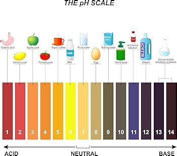 Ph Scale 1 14 Ph Strip 240 Ph Value Test Strips Measuring Range