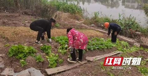 南县中鱼口镇：整治河道围垦“蔬菜园” 保护河湖生态环境腾讯新闻