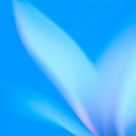 Open Models De Openai Openai