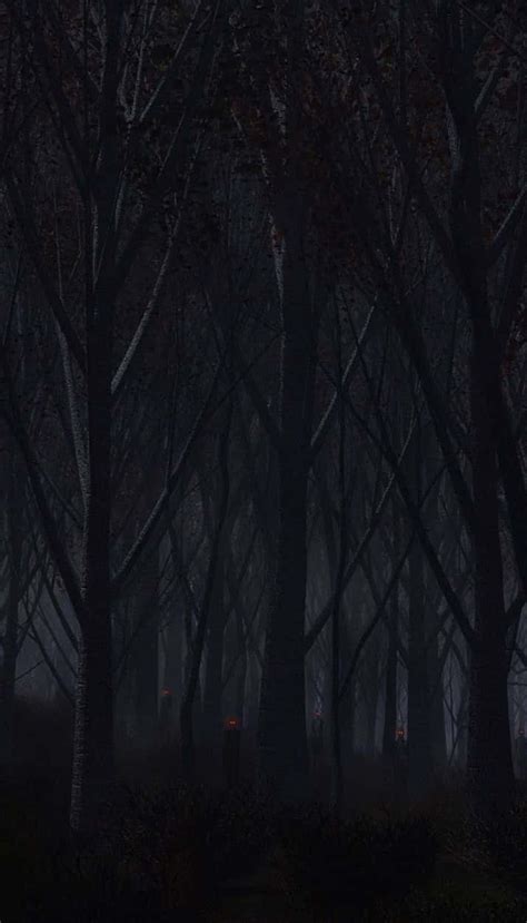 1200 Haunted Forests Wallpapers