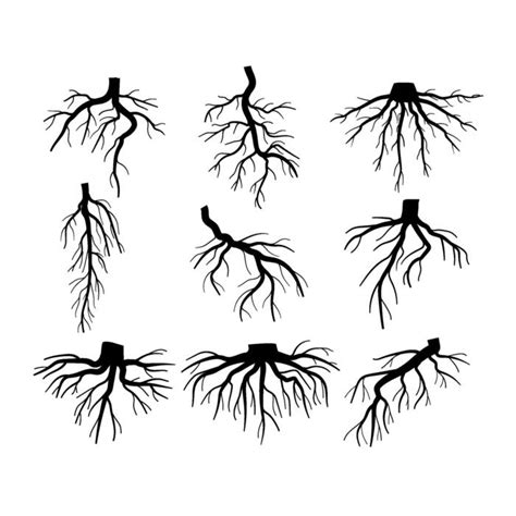 Tree Veins Vector Art Icons And Graphics For Free Download
