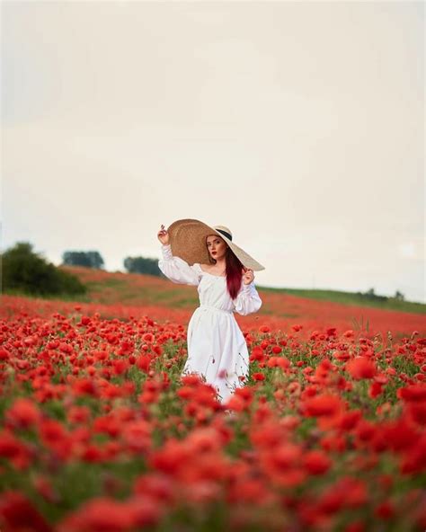 Red Poppy Red Poppy Field Photo Poppy Photoshoot Poppy Field Pictures
