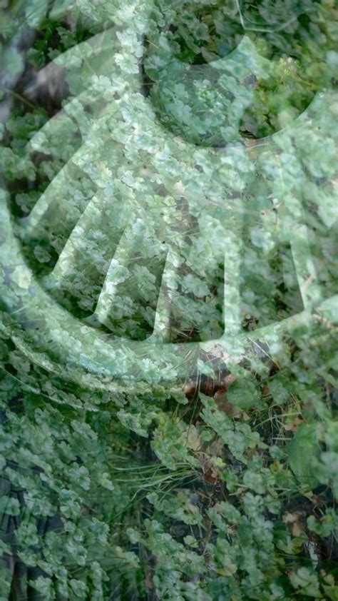 Ghim Của Otter Trên — Texture