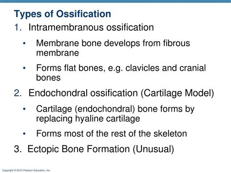 Ppt 6 Powerpoint Presentation Free Download Id2178353
