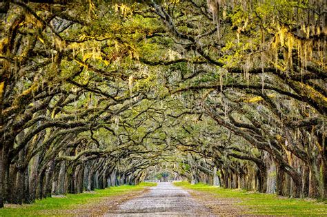 10 Best Natural Wonders In Georgia Escape To Georgias Most Beautiful Landscapes Go Guides
