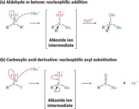 115 Nucleophilic Acyl Substitution Reactions Fundamentals Of Organic