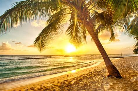 Pin By Natalyismailova On The Beauty Beach Wallpaper Sunrise Background Beautiful Beaches