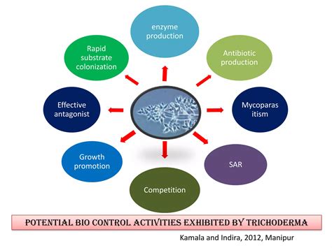 Trichoderma March 14th Pptx