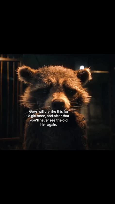 Rocket Guardians Of The Galaxy Quotes