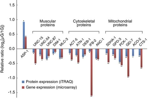 Quantitative Analysis Of Protein Itraq And Gene Expression