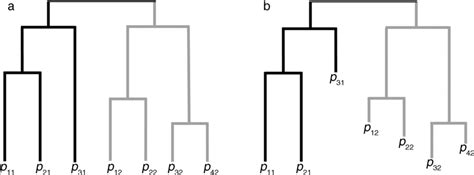 Replication Principle For Two Completely Phylogenetically Distinct