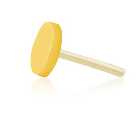 Junipurr Gold Disk Pin End Lost Lake Tattoo And Piercing Co